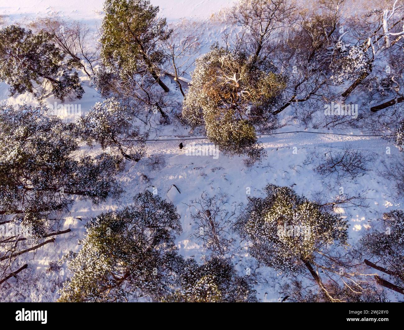 Walking in snow from above Stock Photo - Alamy