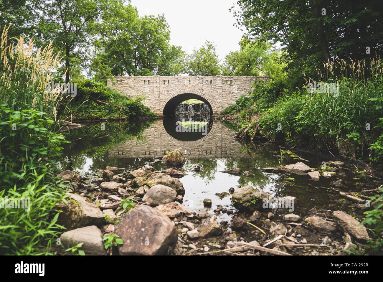 Waterfall forest stone hi-res stock photography and images - Alamy