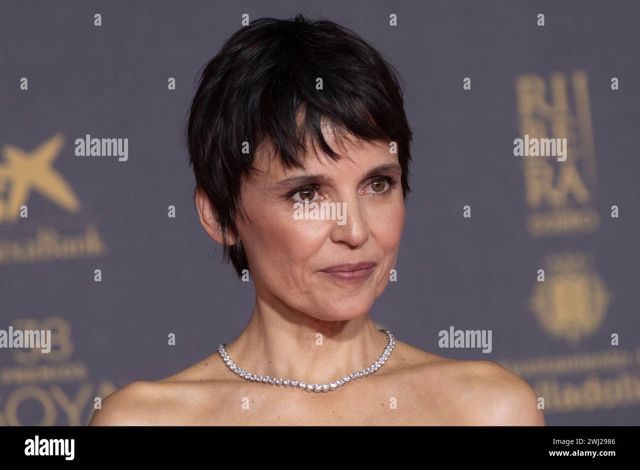 Madrid, Spain. 10th Feb, 2024. Elena Anaya attends 'the red carpet at ...