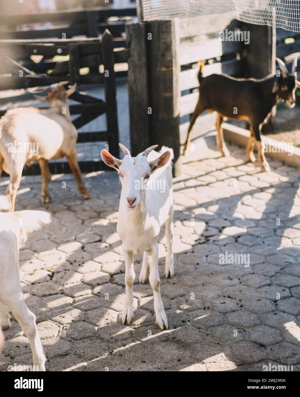 South face farm hi-res stock photography and images - Alamy