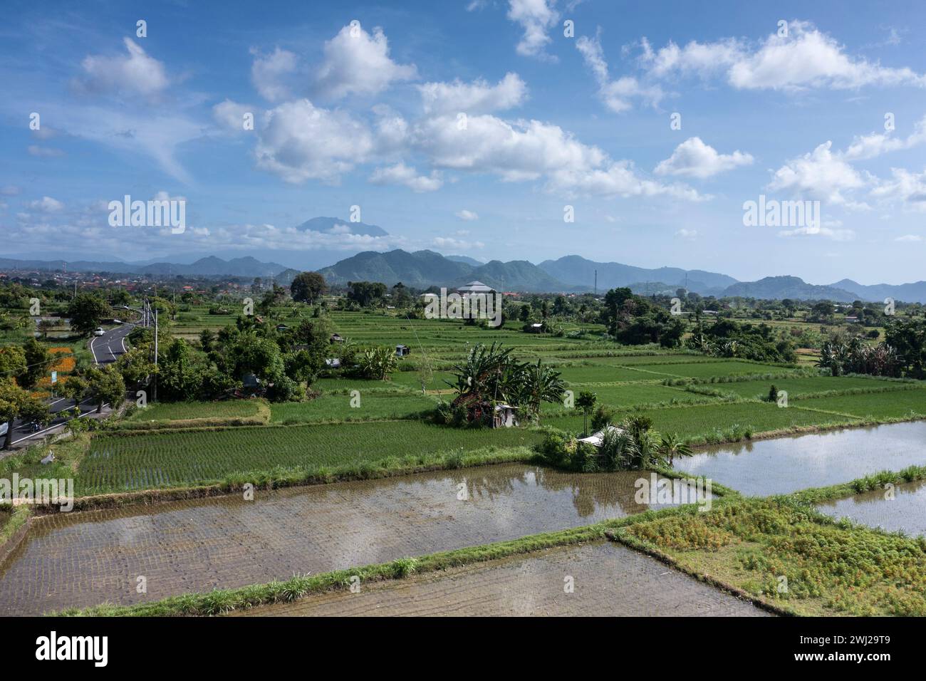 Aerial drone landscape of rice paddy fields in Bali Indonesia Stock ...