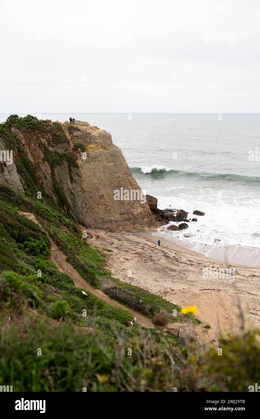 Cliffside vegetation hi-res stock photography and images - Alamy