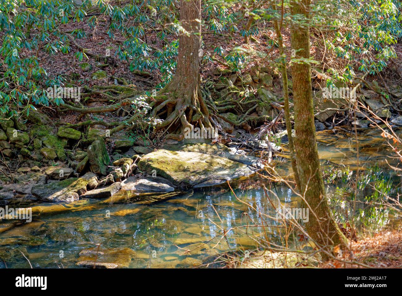 Spreading outwards hi-res stock photography and images - Alamy