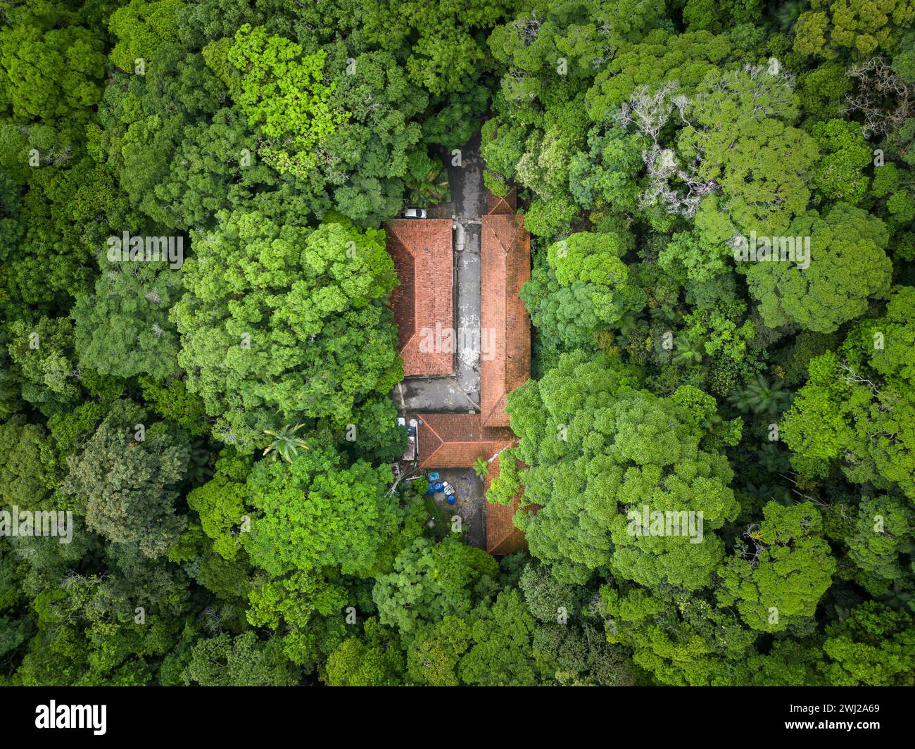 Aerial view to Barracão building inside green rainforest Stock Photo ...