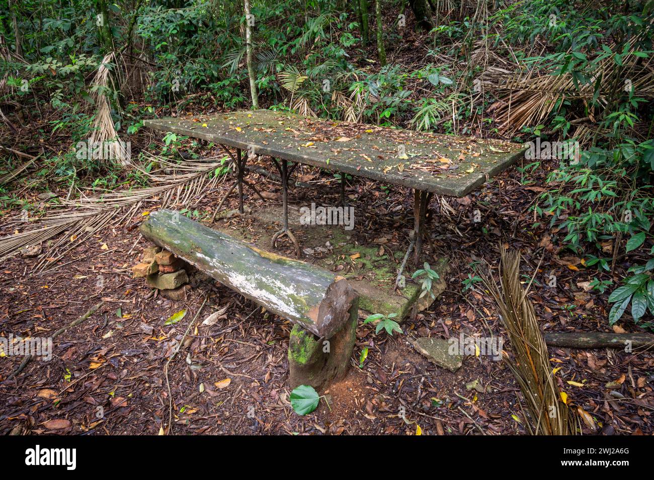 View to old historic table in green rainforest area, Tijuca Park Stock ...