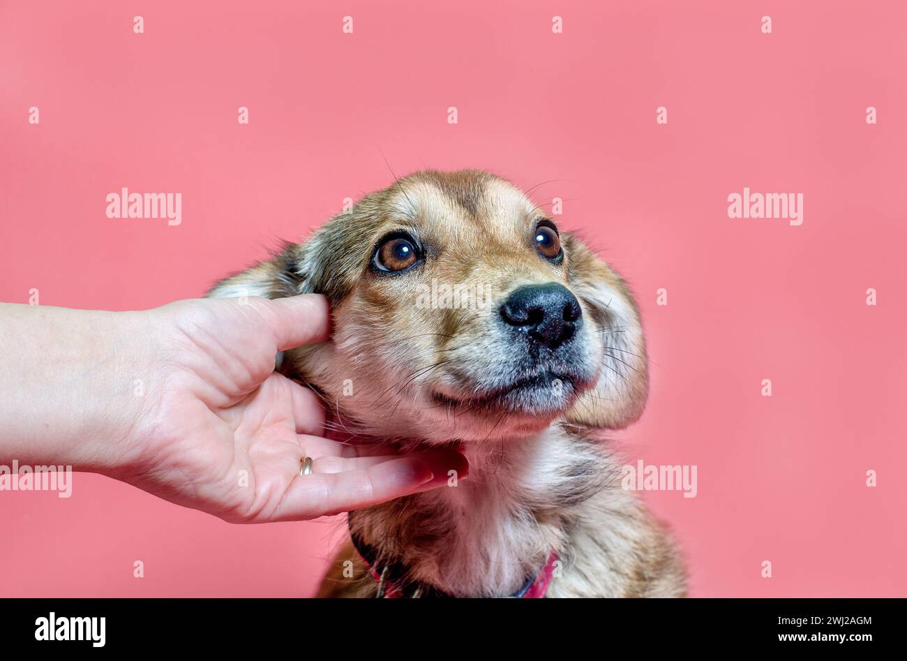 Scratches his ear hi-res stock photography and images - Alamy