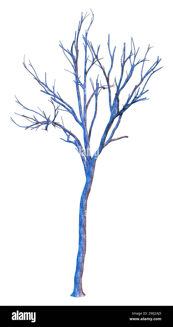 3d rendering dead tree hi-res stock photography and images - Alamy