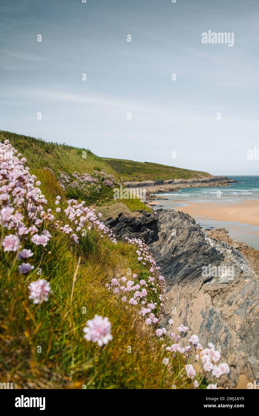 Flowers overlooking beautiful ocean landscape hi-res stock photography ...