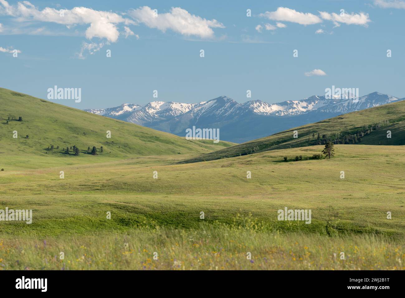 Zumwalt Prairie and the Wallowa Mountains in Northeast Oregon Stock ...
