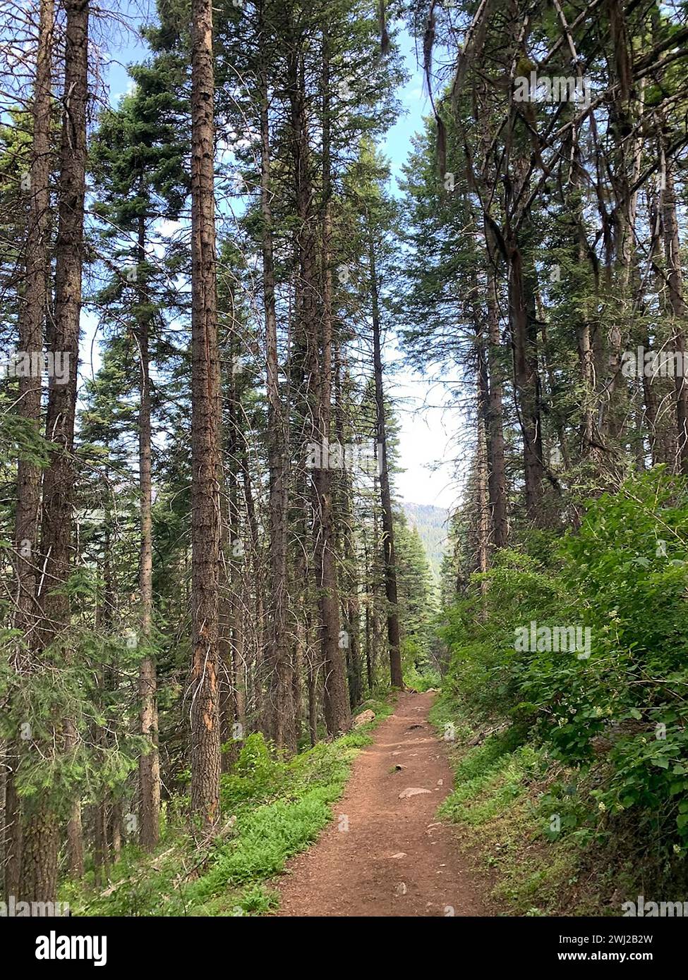 Multisensory adventure hi-res stock photography and images - Alamy