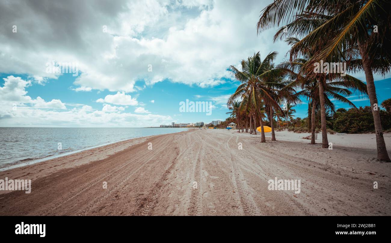 Road with palms hi-res stock photography and images - Alamy
