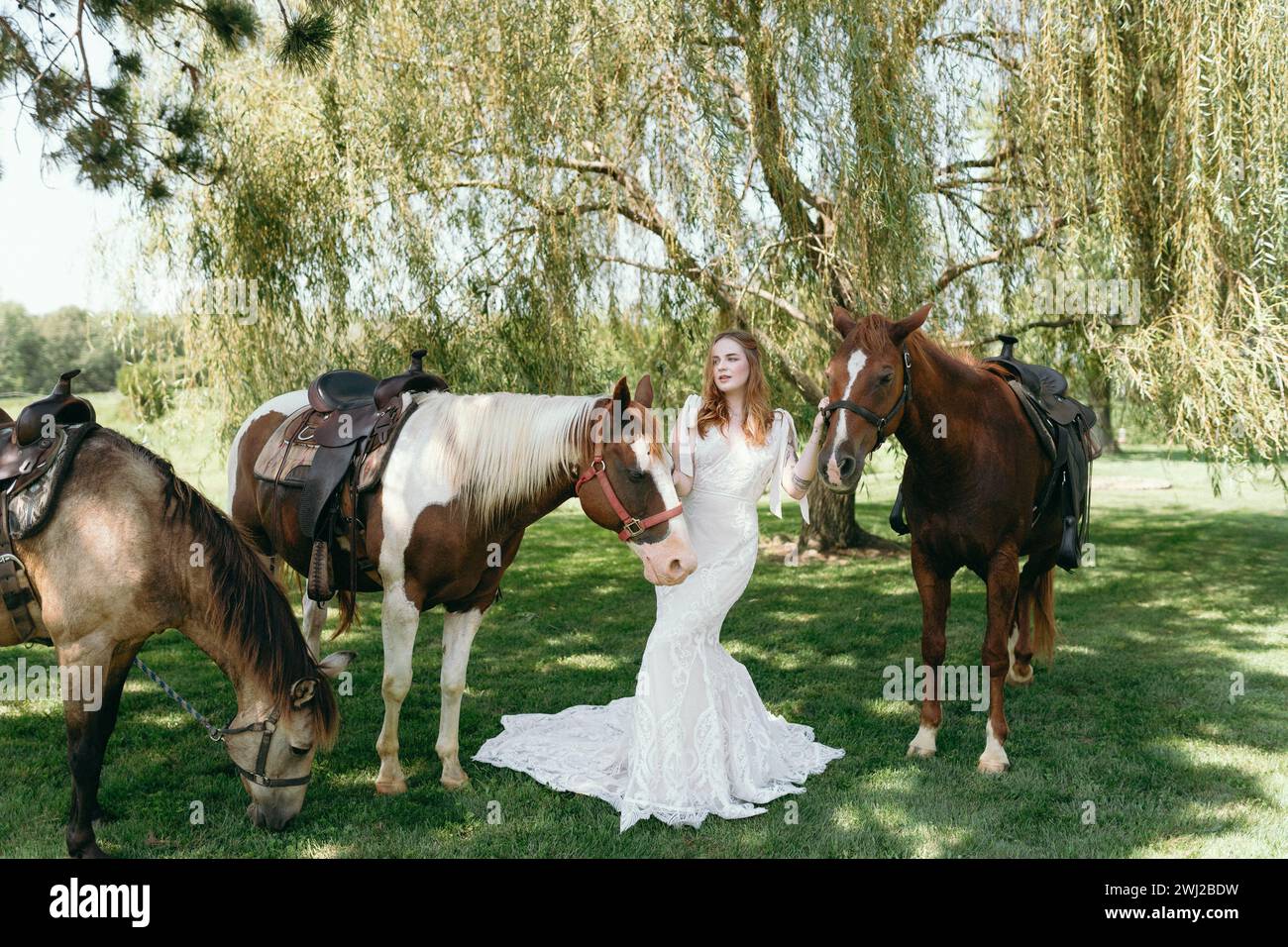 Group of horses with a bride in a lace wedding dress Stock Photo - Alamy