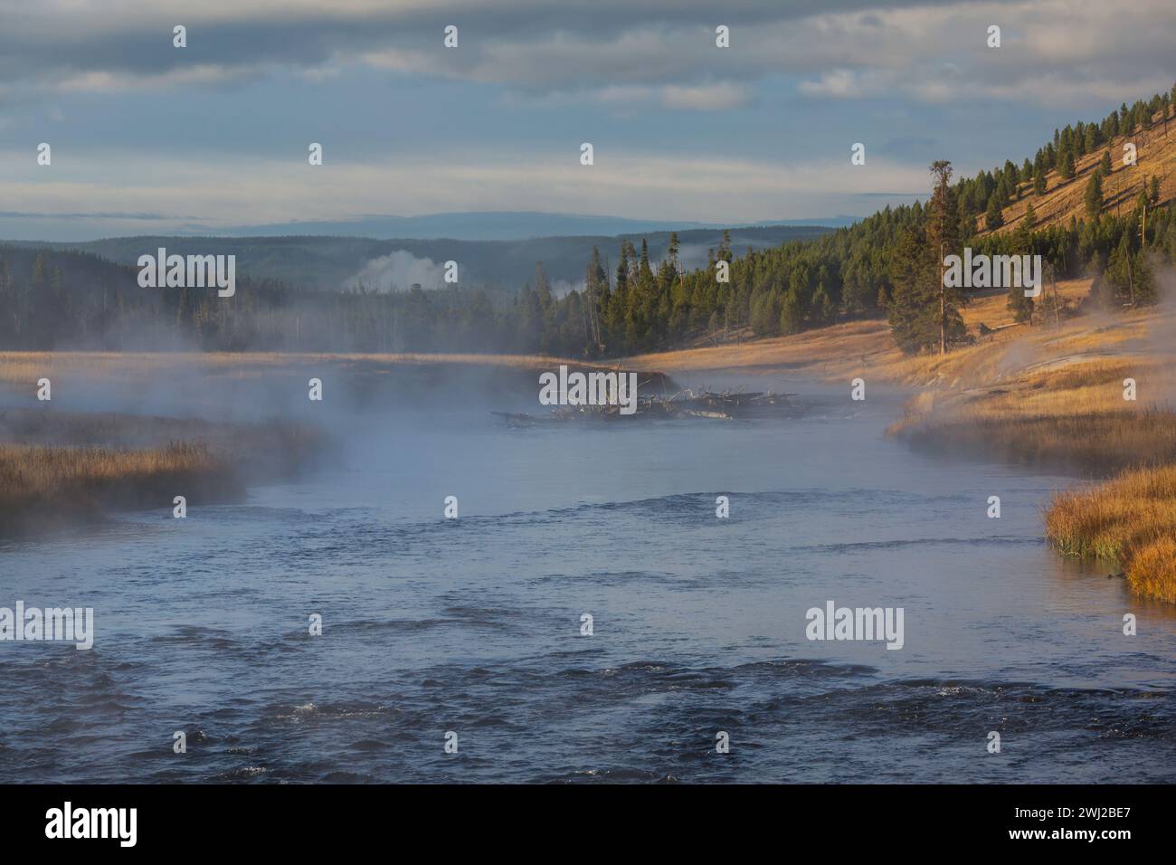 Hot and acidic thermal pools in Yellowstone National Park, USA Stock ...
