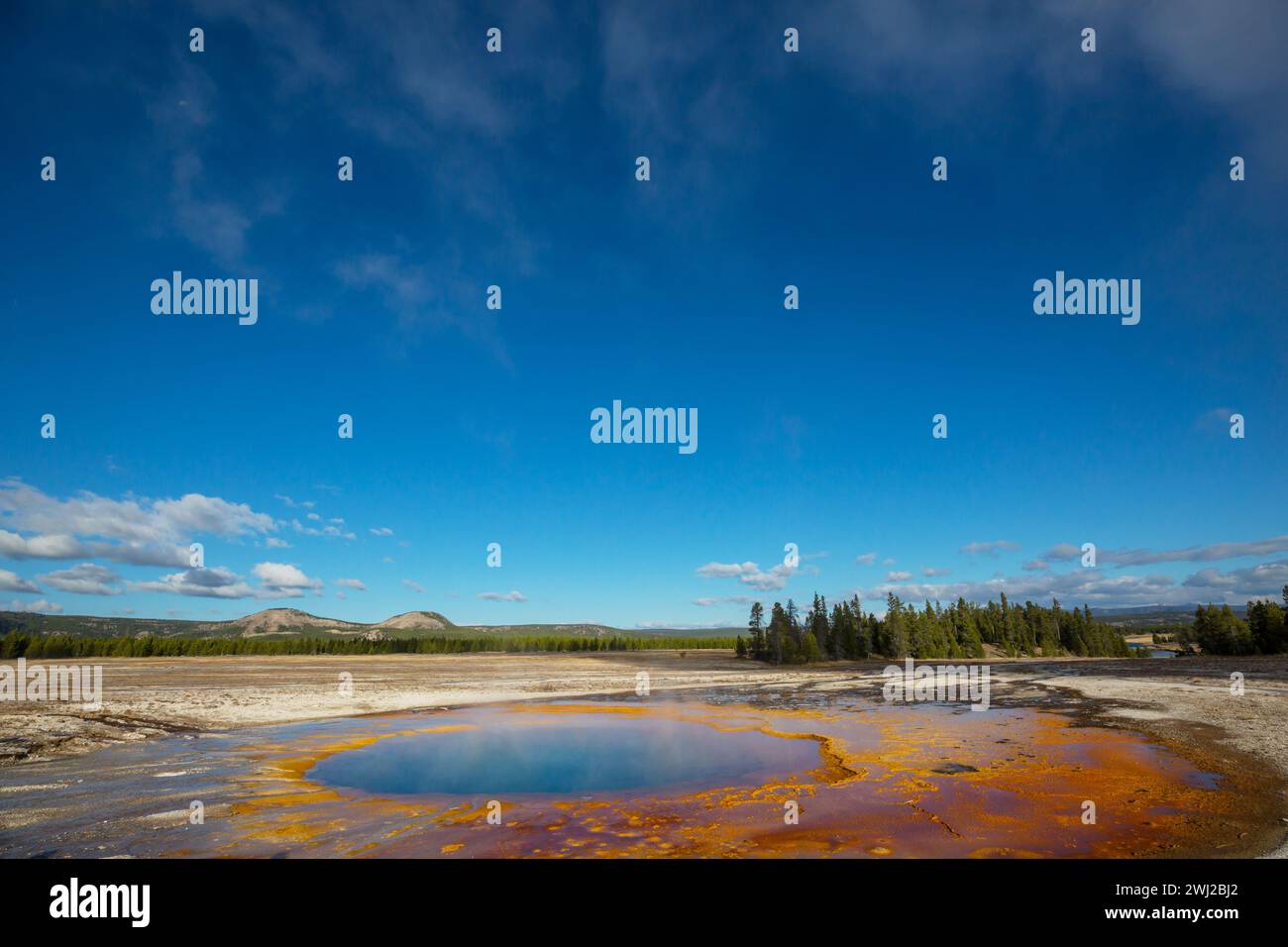 Hot and acidic thermal pools in Yellowstone National Park, USA Stock ...