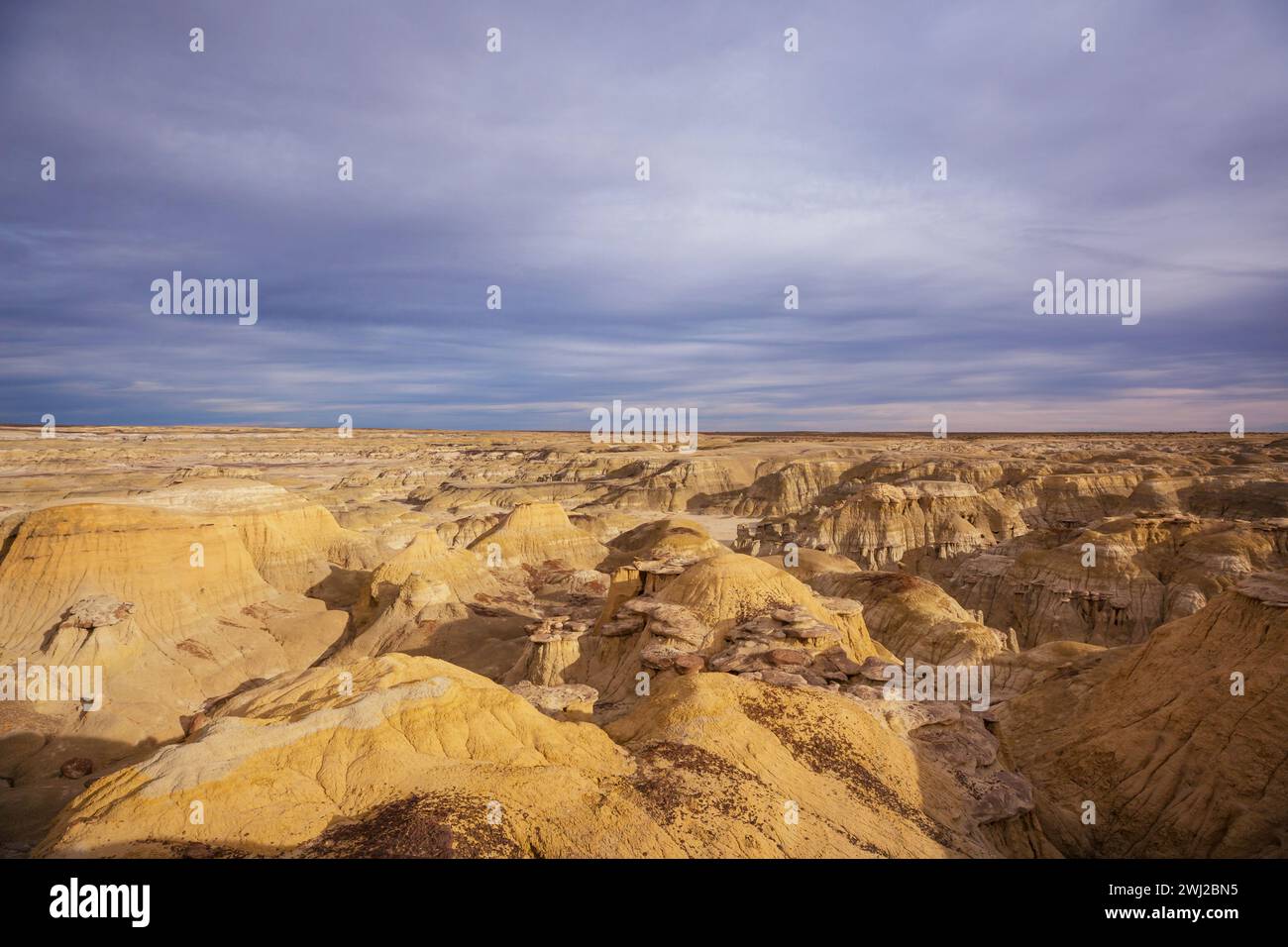 The bizarre landscape of the Bisti Badlands or De-Na-Zin Wilderness in ...