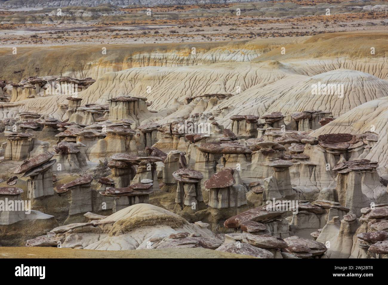The bizarre landscape of the Bisti Badlands or De-Na-Zin Wilderness in ...