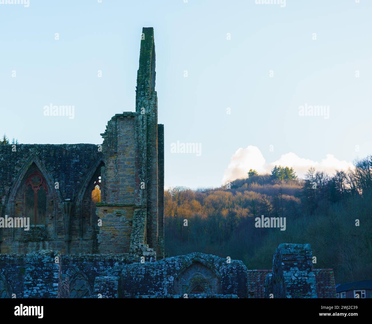 A side view of the Gothic arch window at Tintern Abbey, founded in 1131 ...