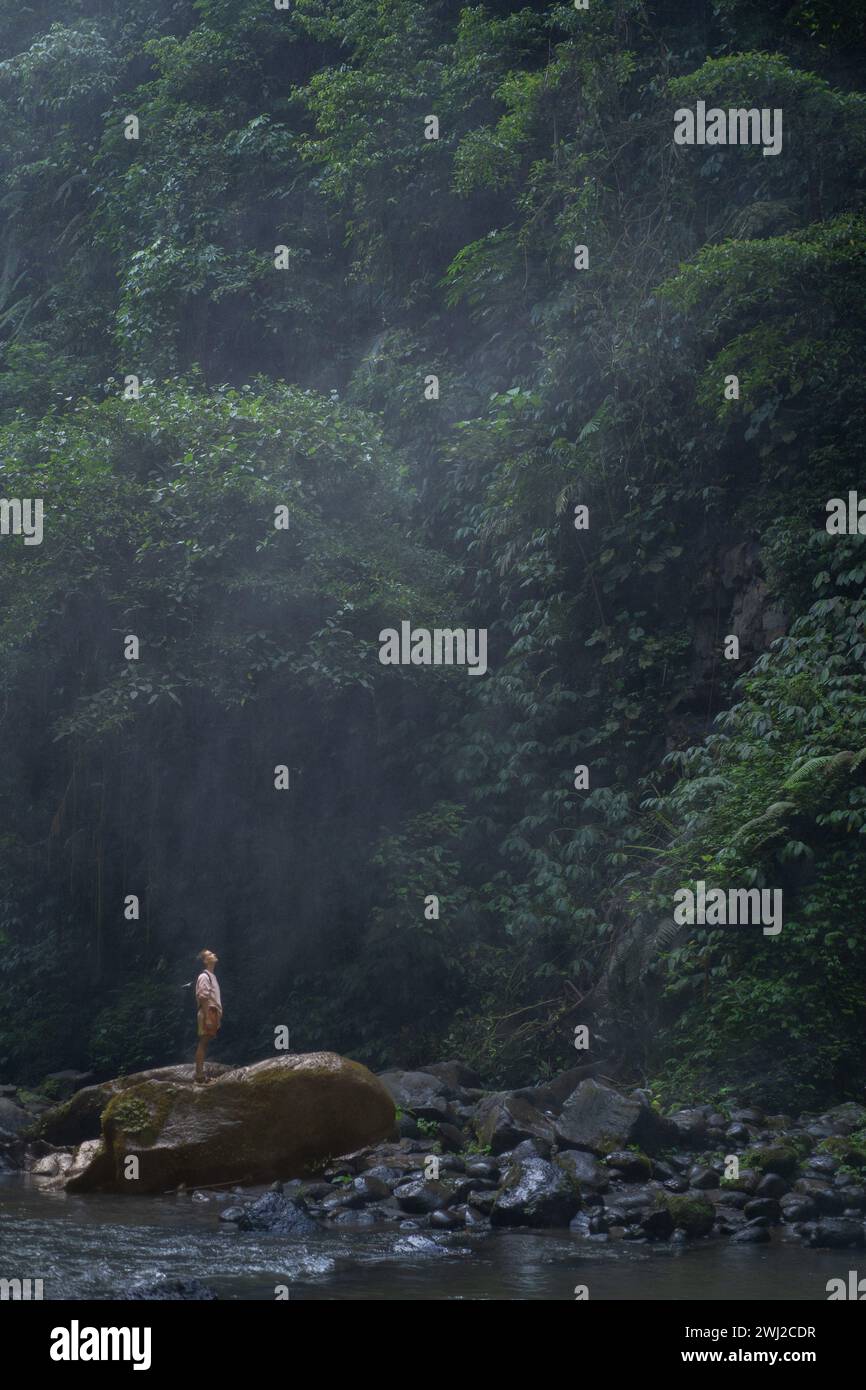 Woman traveler, explorer stands on rock in jungle, looks at waterfall ...