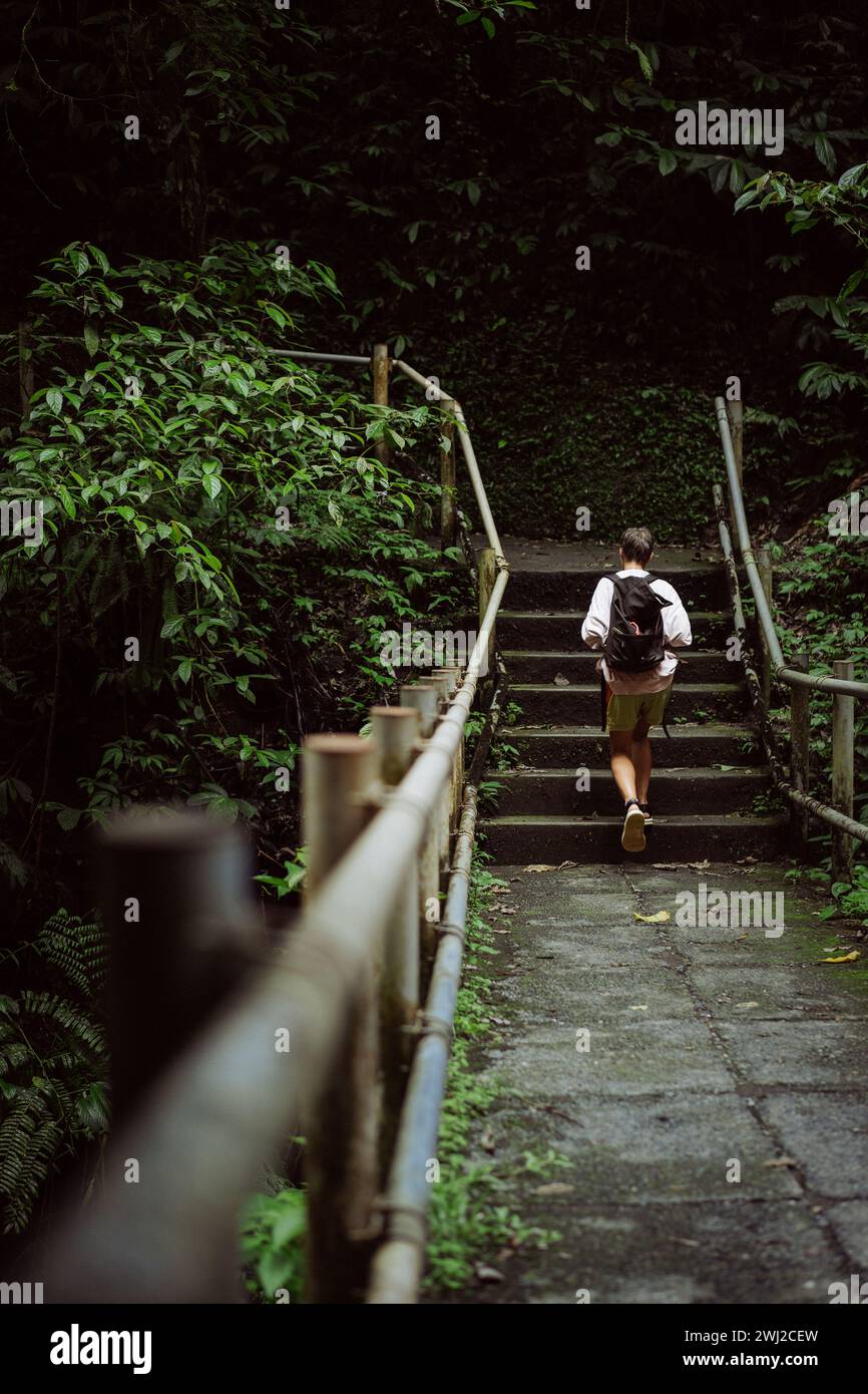 Young explorer in the jungle hi-res stock photography and images - Alamy