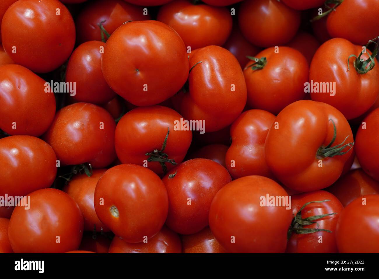 Tomatoes lying on a pile on top of each other, tomato texture ...