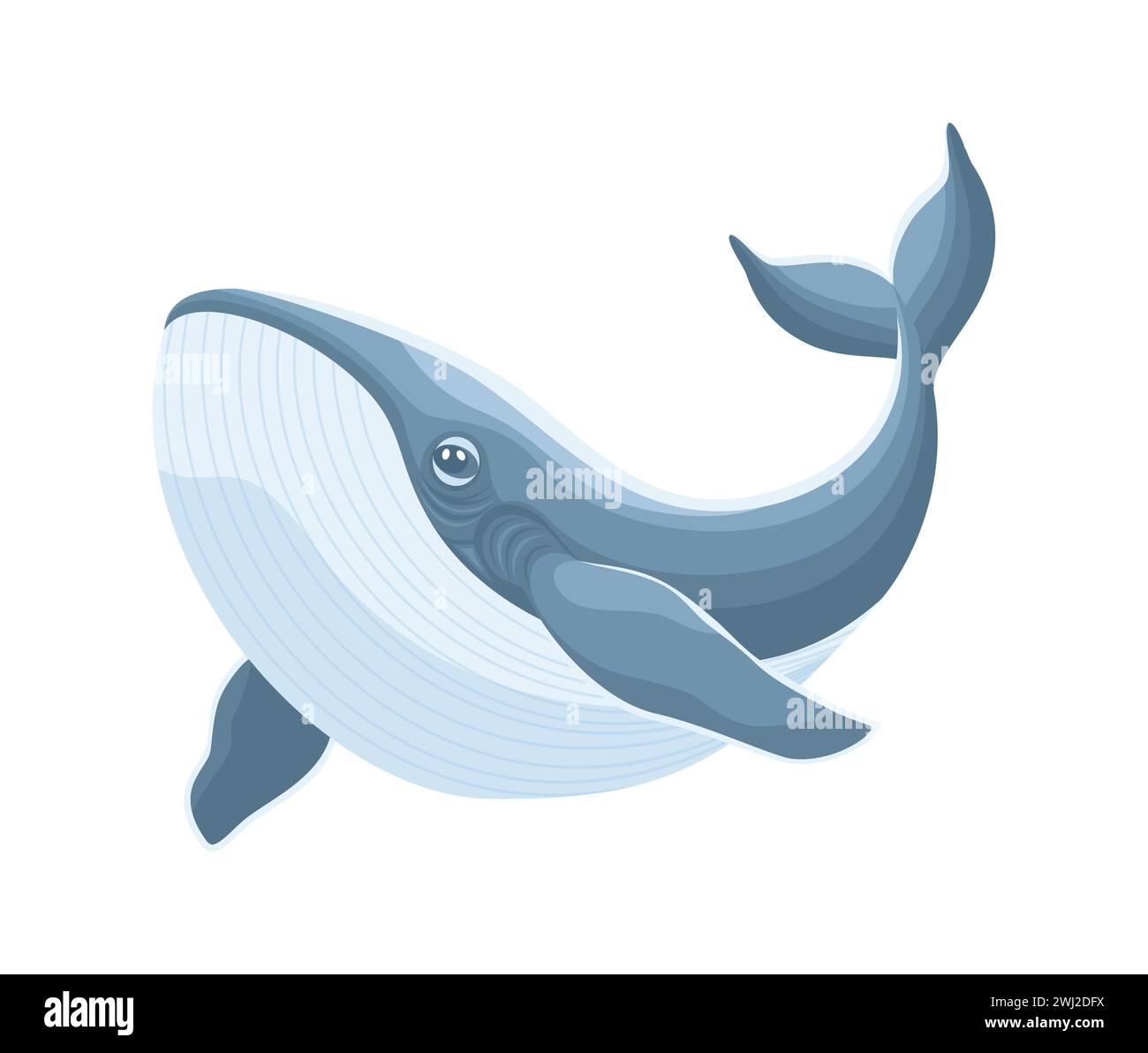 Clip Art Blue Whale