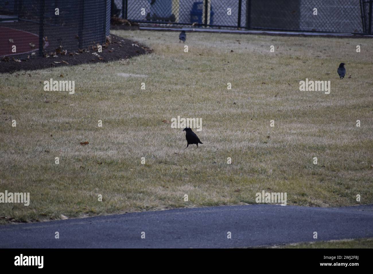 Milton hershey campus hi-res stock photography and images - Alamy