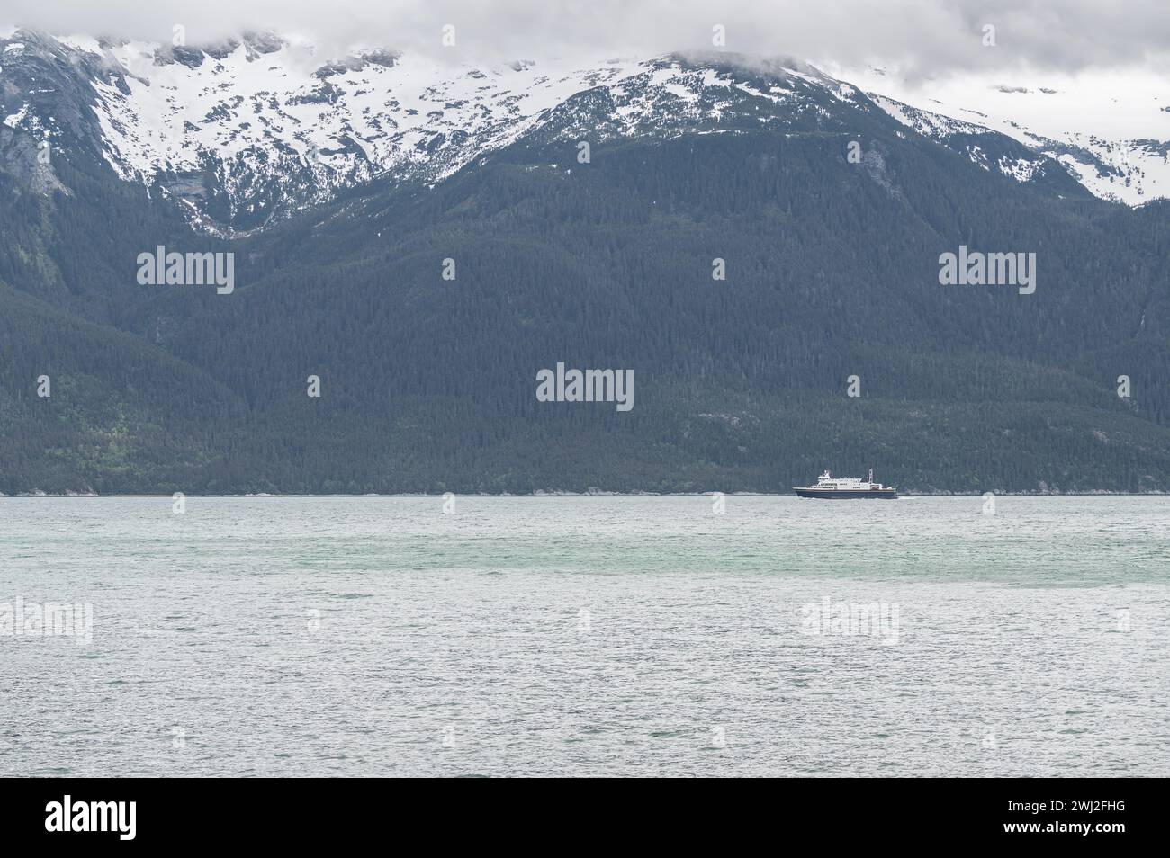 Expedition ship sea lion hi-res stock photography and images - Alamy
