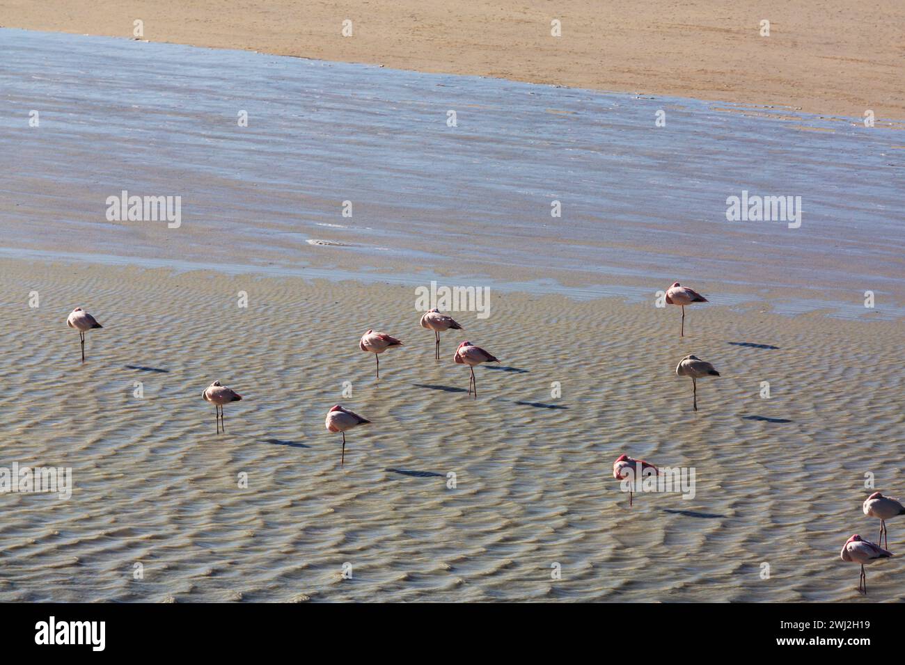 Anden hochplateau landshchaft hi-res stock photography and images - Alamy