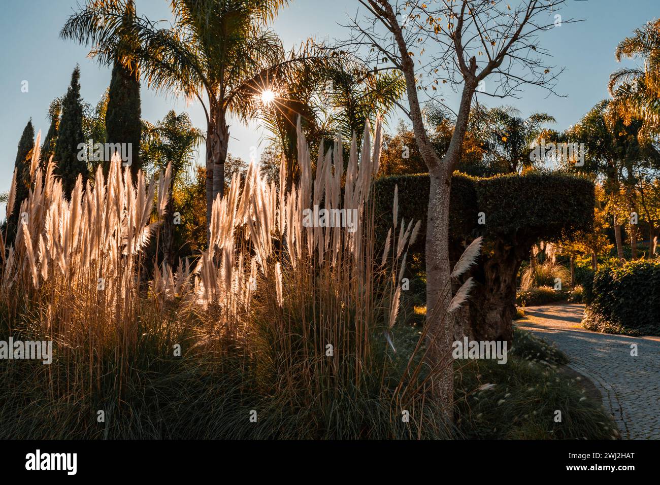 Landscape in Oriental Garden Bacalhoa Buddha Eden in Portugal Stock ...