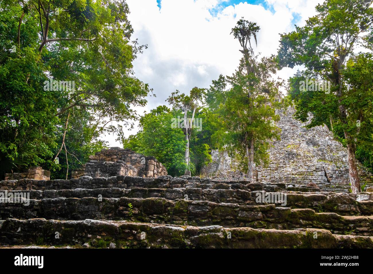 Coba Maya Ruins the ancient buildings and pyramids in the tropical ...
