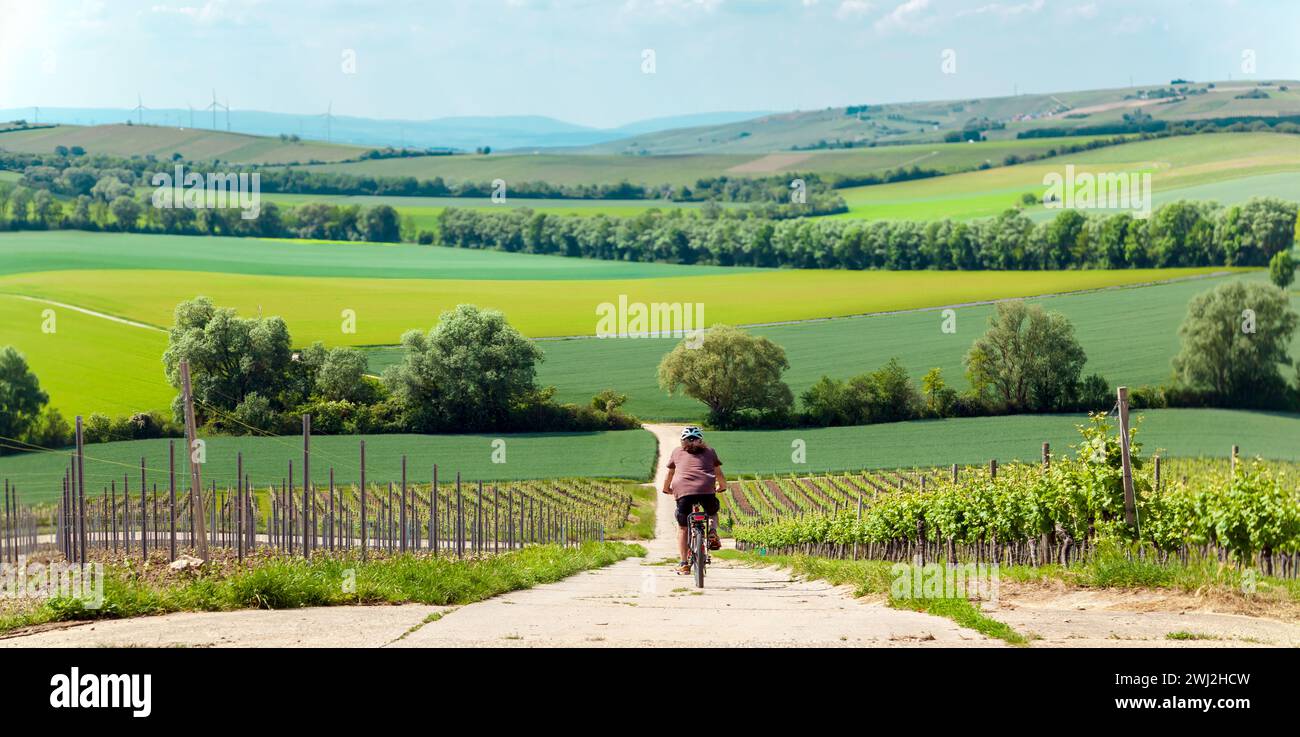 Cycling, rear view of a biker on cycle trail in green Idyllic Landscape ...