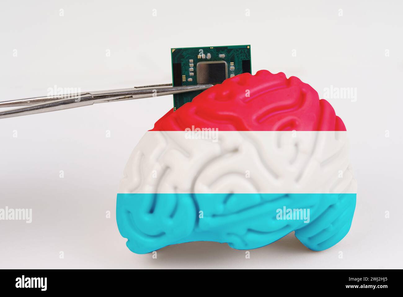 On a white background, a model of the brain with a picture of a flag ...