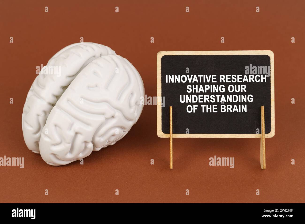 On a brown background, a model of the brain and a sign with the ...