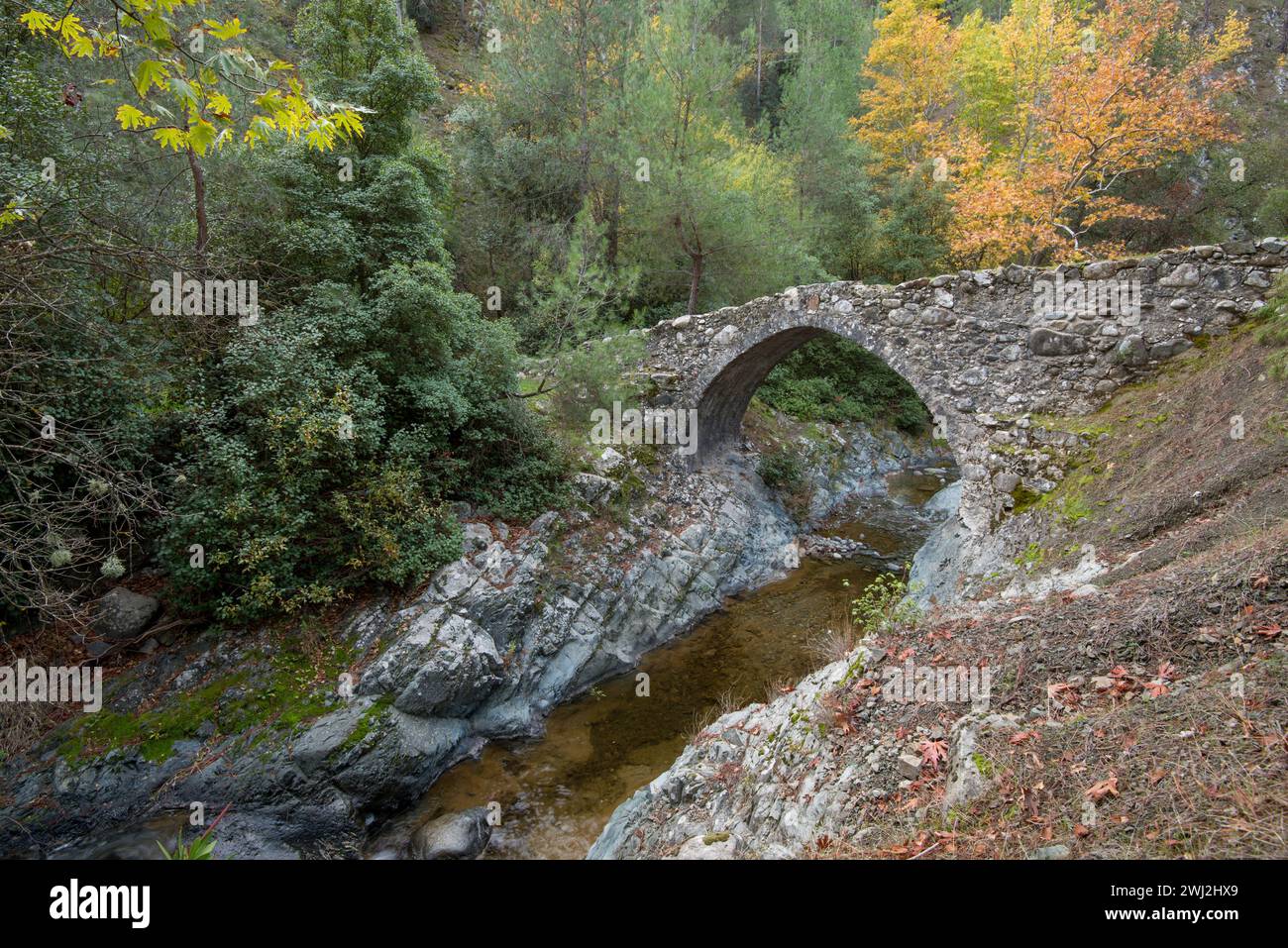 Medieval stoned bridge with water flowing and foliage in the river in ...