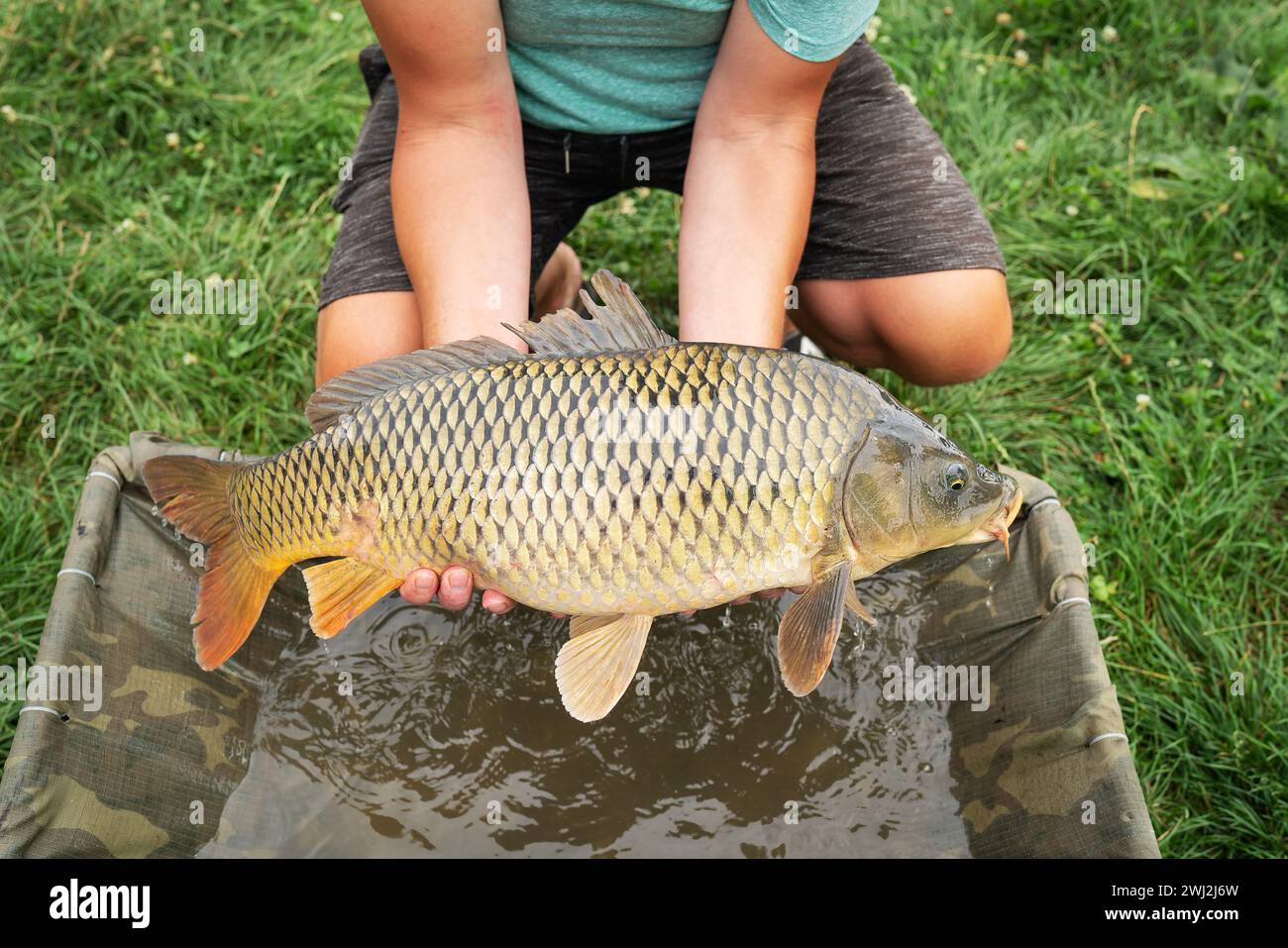 Holding golden scales hi-res stock photography and images - Alamy