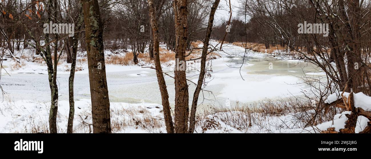 Flowing river in snow covered woods hi-res stock photography and images ...