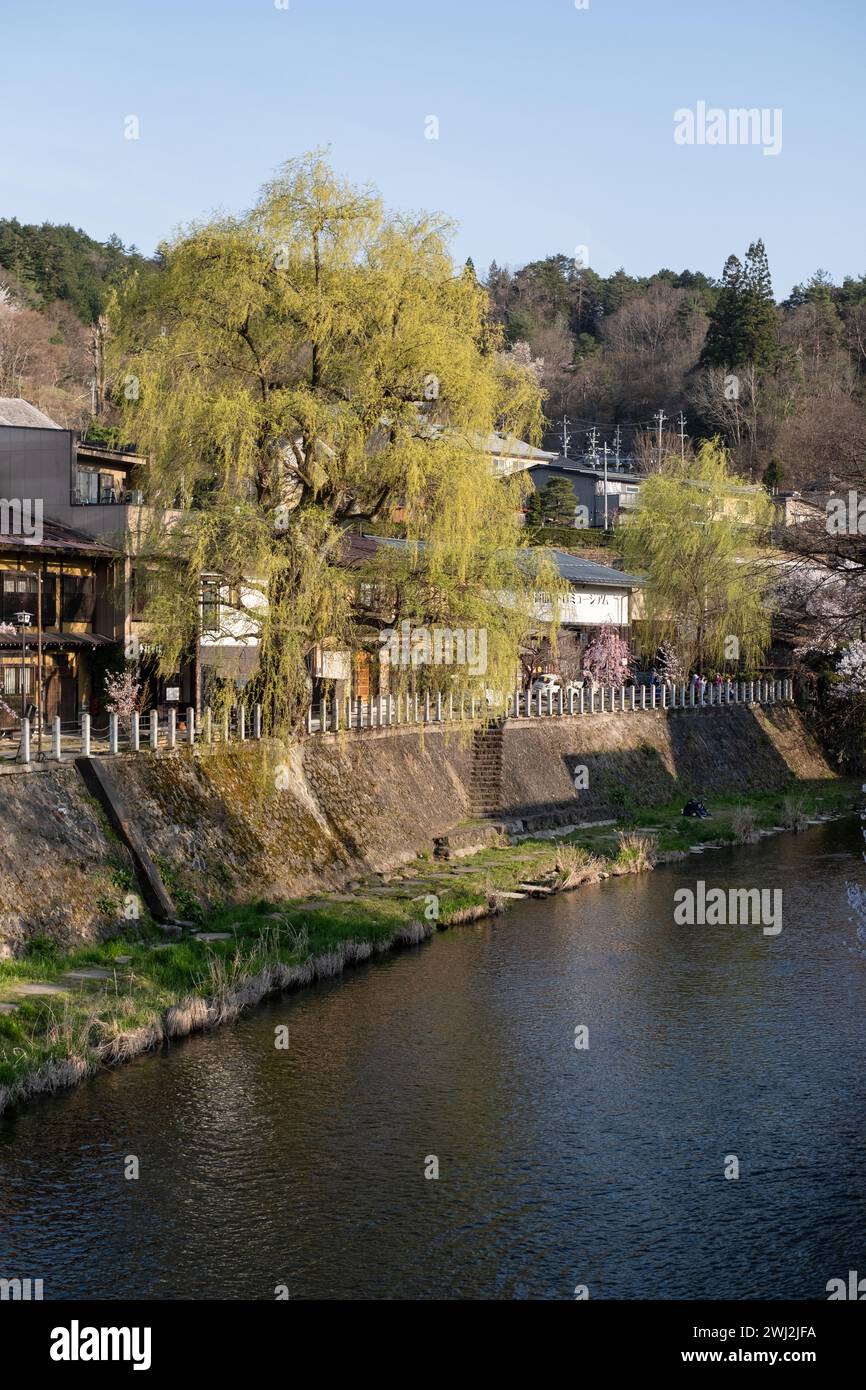 Trees by the riverside, Takayama, Gifu Prefecture, Japan Stock Photo ...