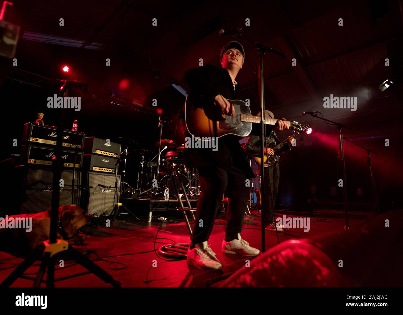 Peter doherty photos 2024 hi-res stock photography and images - Alamy
