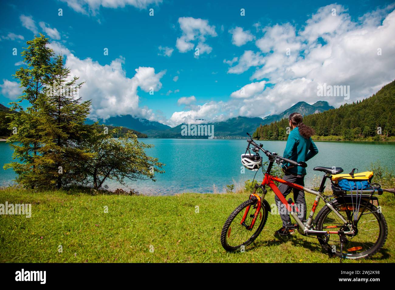 Cycling, rear view of a biker in green Idyllic Landscape scenery. Rural ...