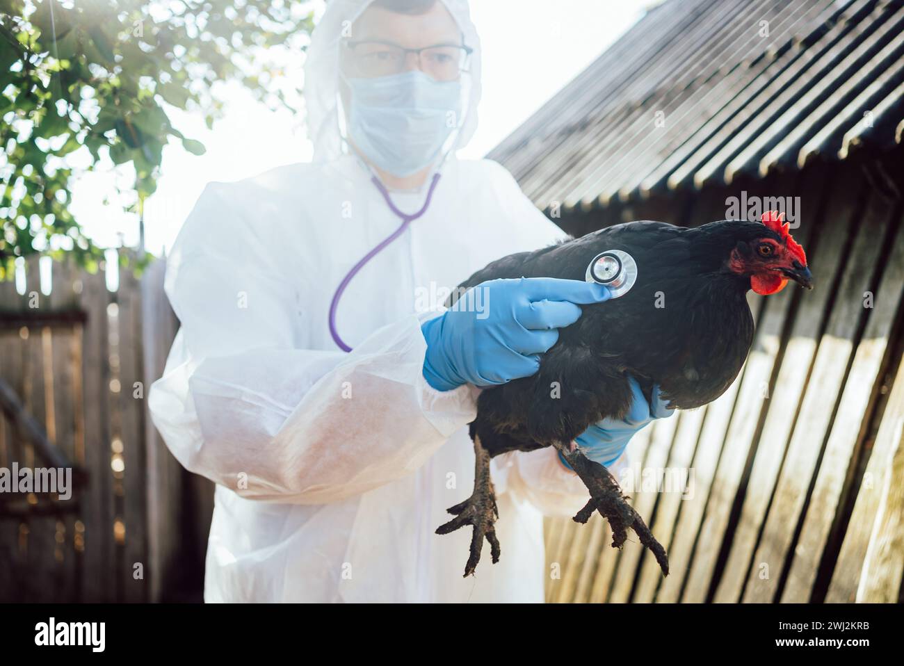 Biosecurity gear hi-res stock photography and images - Alamy