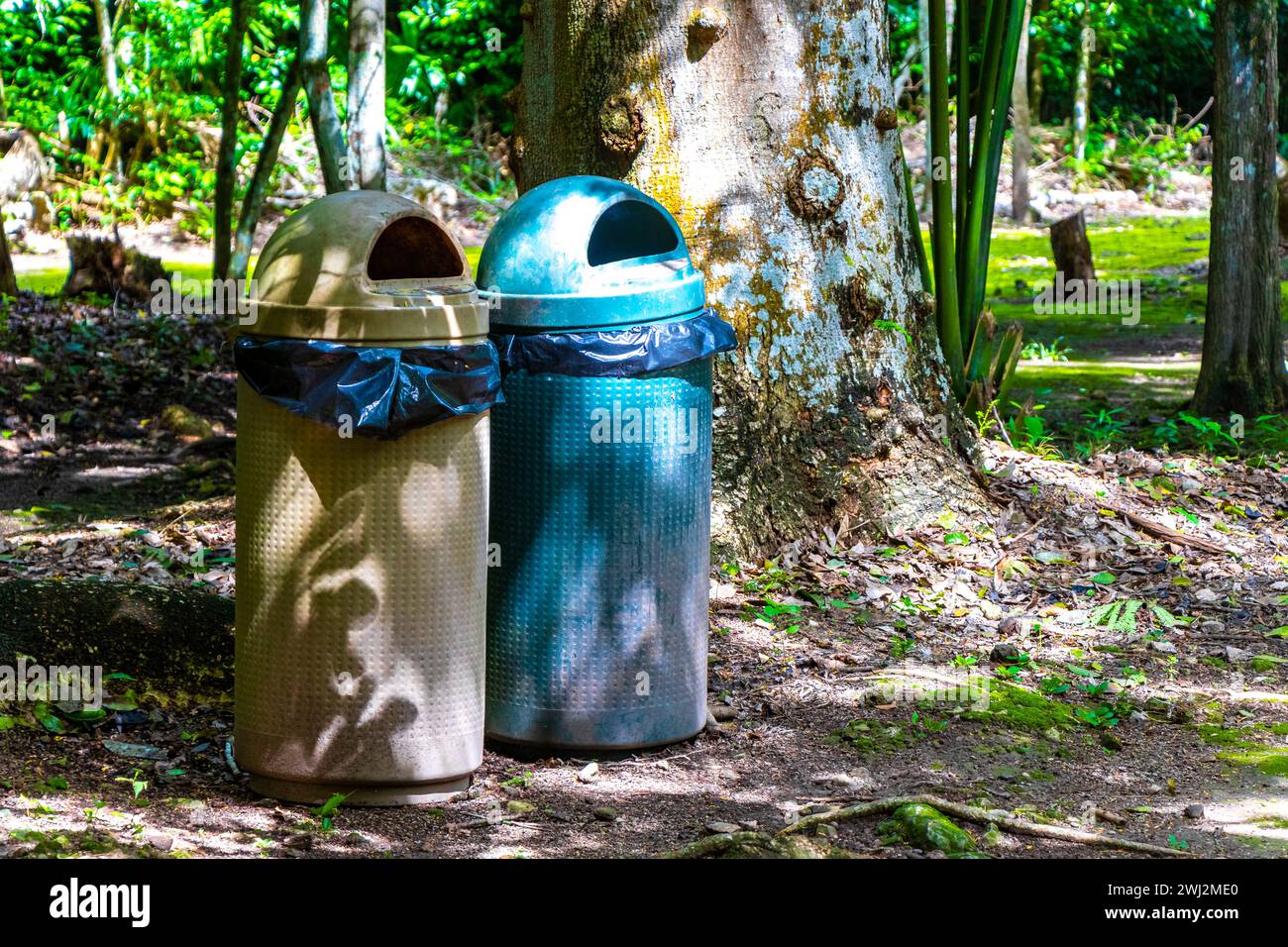Garbage cans in the park of Cabo Ruins in Coba Municipality Tulum ...