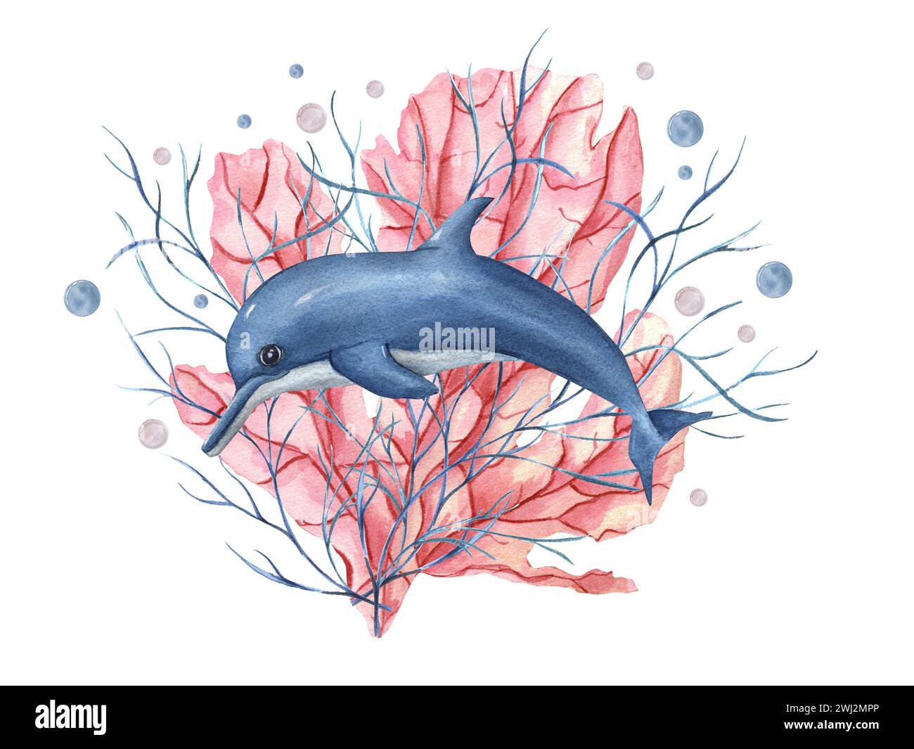 Pink Dolphins Clipart