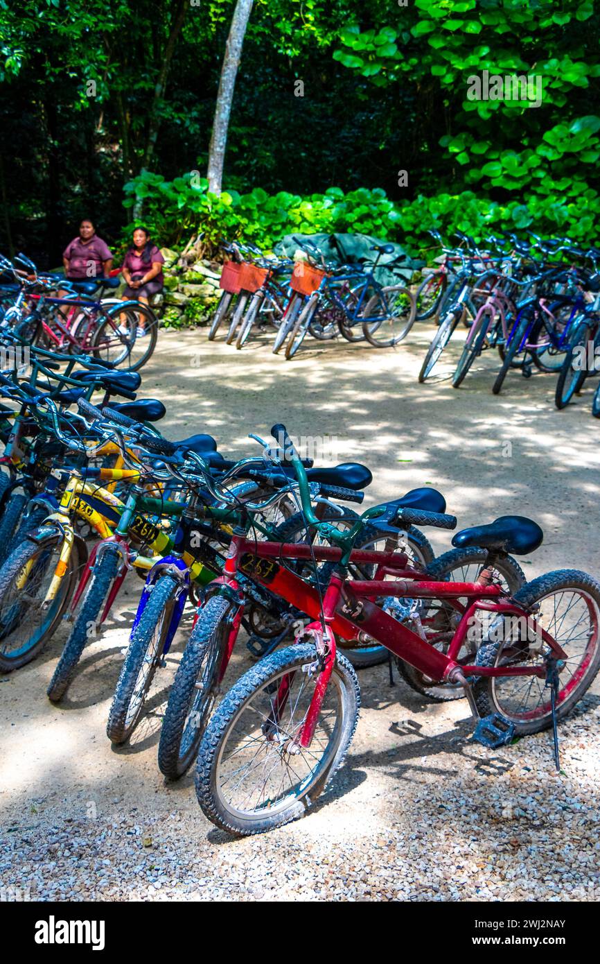 Coba Quintana Roo Mexico 01. October 2023 Rent a bike bicycle tricycle and ride through the ...