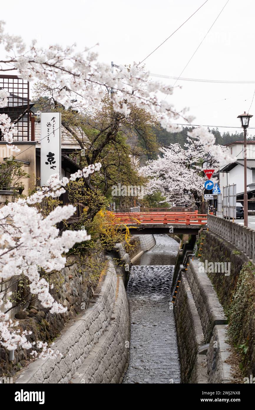Cherry blossom and orange bridge over the Enako River, Takayama, Gifu ...