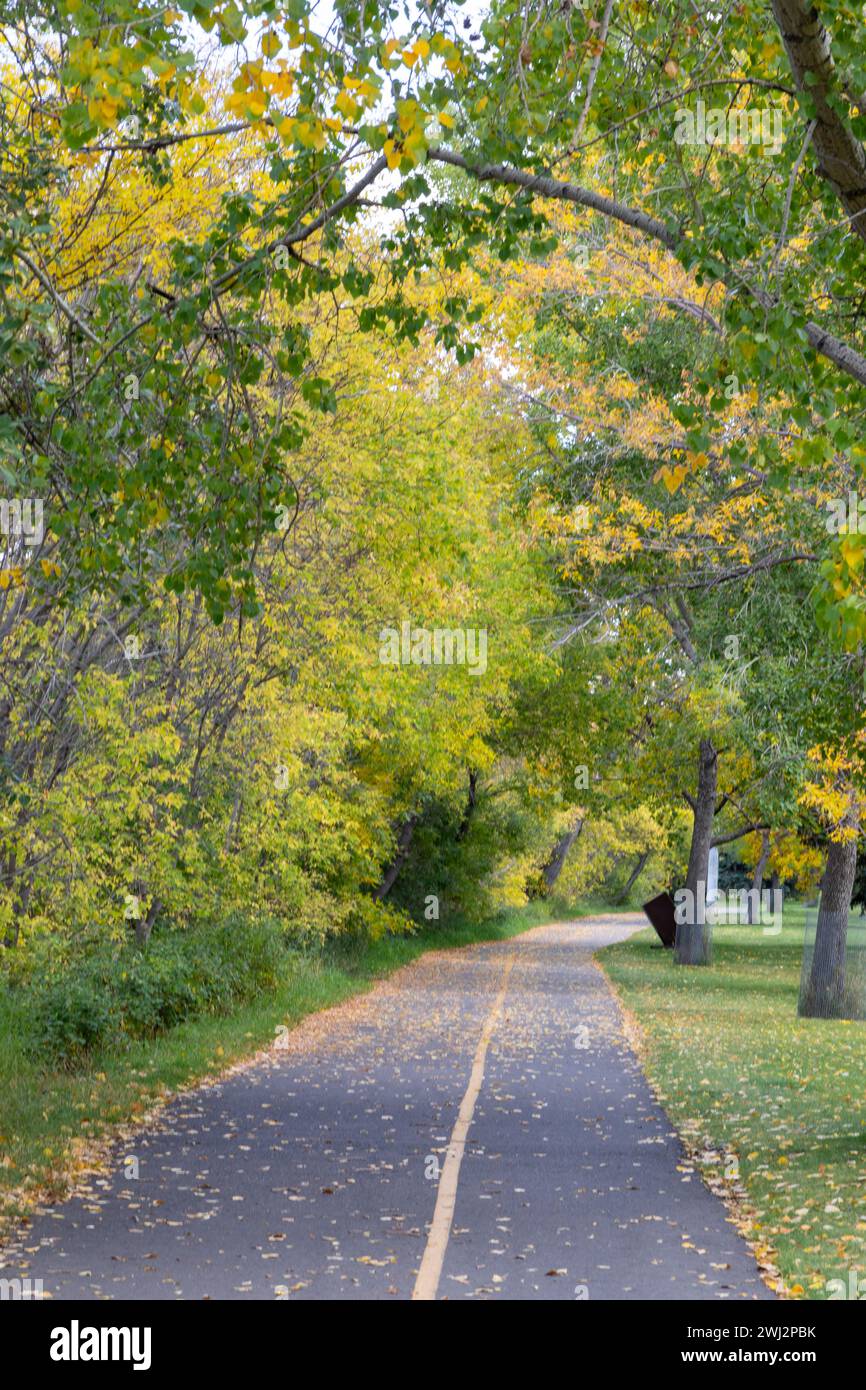 Calgary alberta autumn hi-res stock photography and images - Alamy