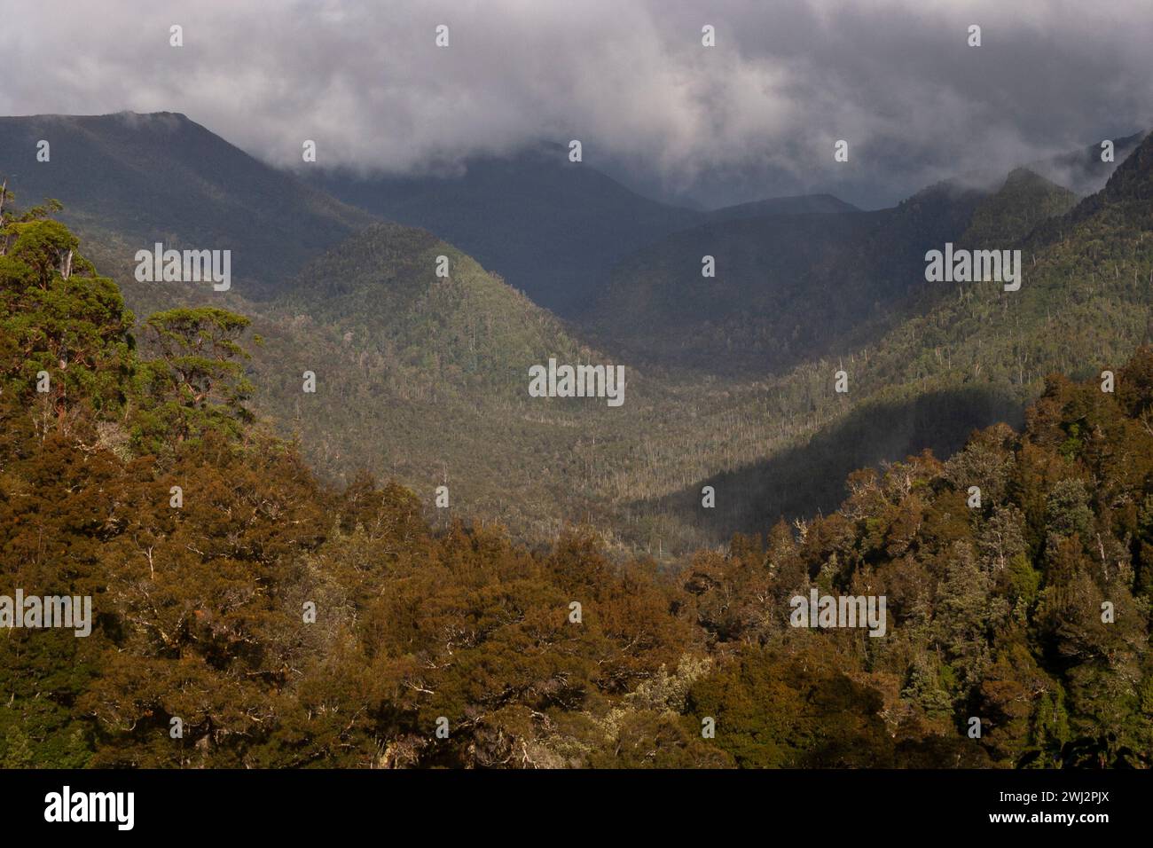 Surprise valley in Tasmania in Australia Stock Photo - Alamy
