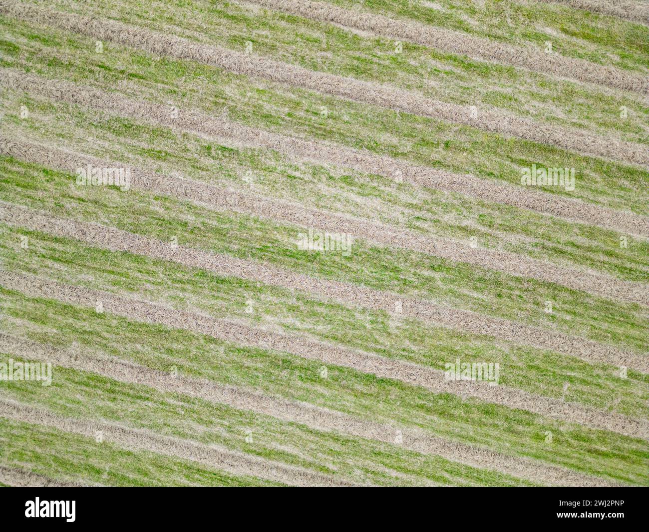 UK farming. Aerial photography of stripes in a grass field during ...