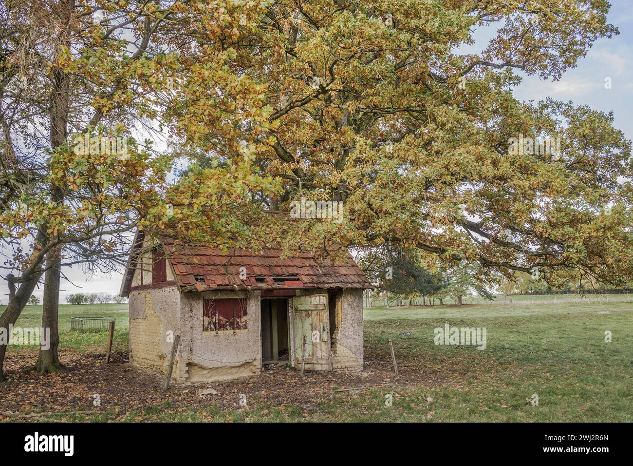 Old cattle barn hi-res stock photography and images - Alamy