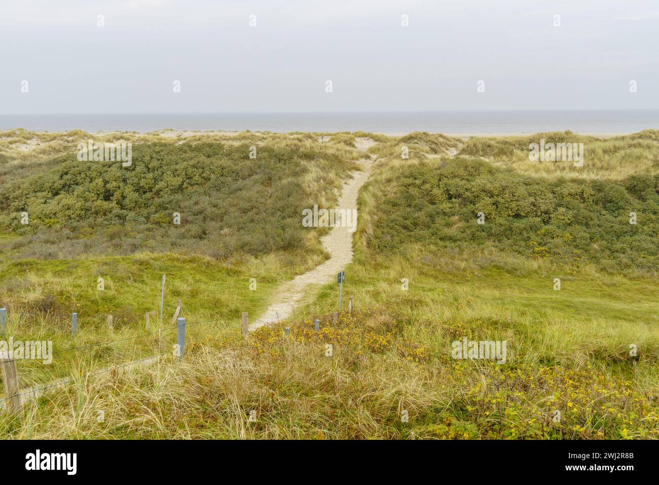 Wangerooge island in the north sea Stock Photo - Alamy