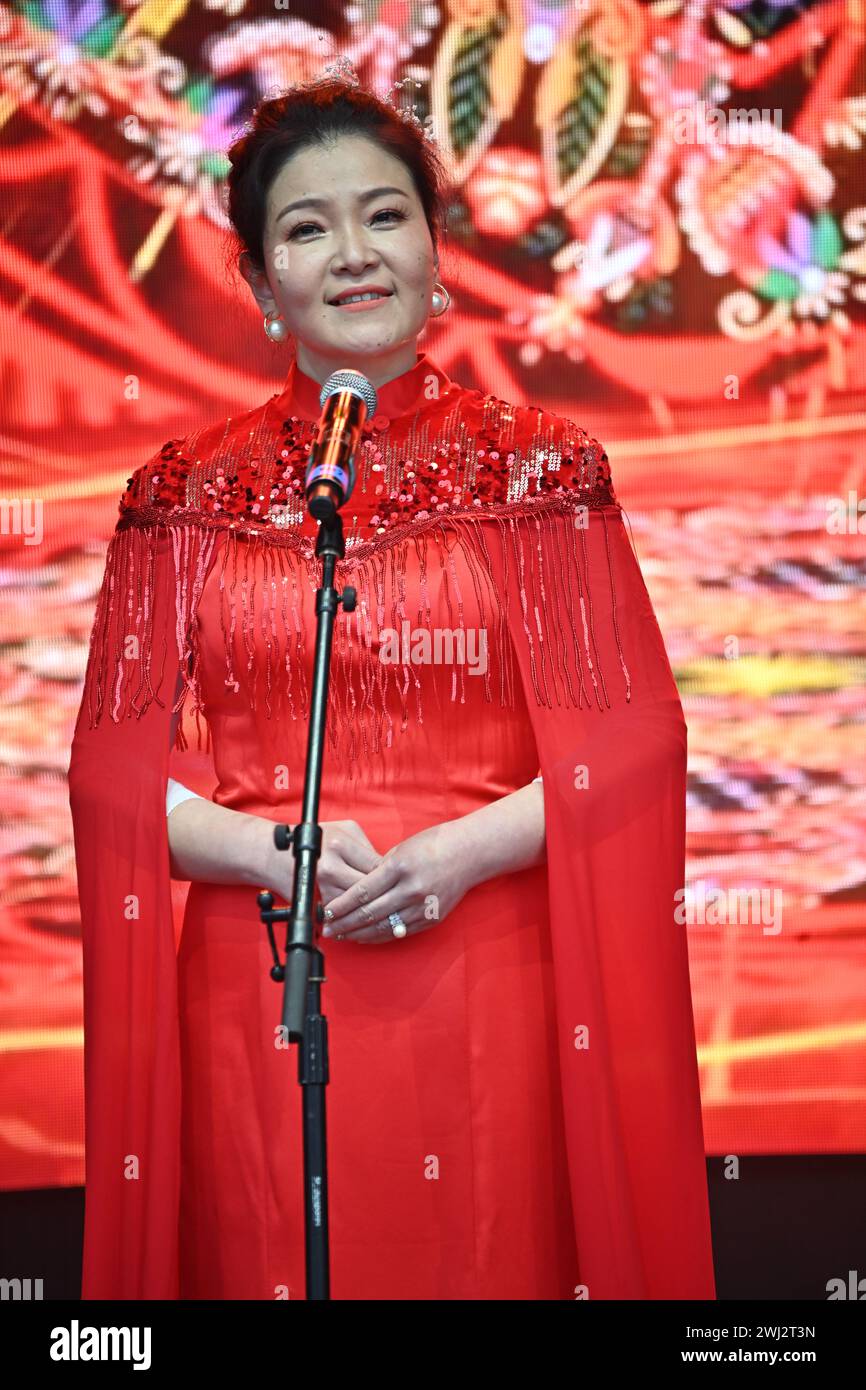 Trafalgar square, London, UK, 11 February 2024: Li Xinyi preforms at ...